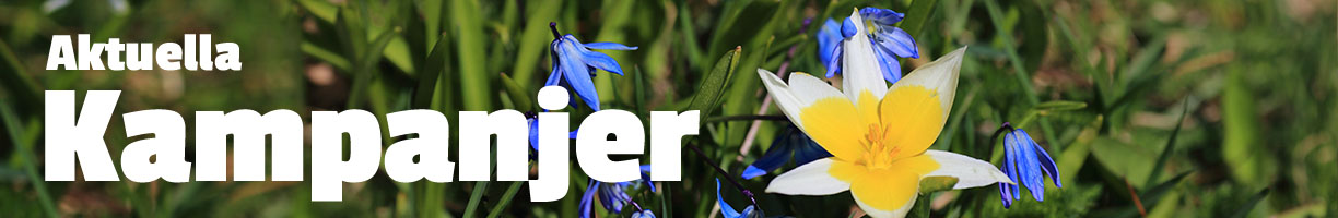 Kampanjer | CyberPhoto
