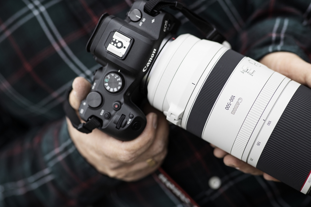 Test: Canon RF 100-500/4,5-7,1 L IS USM